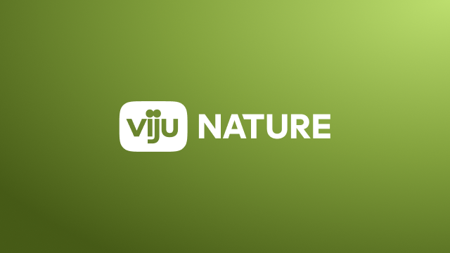 Телеканал «viju Nature» смотреть эфир онлайн