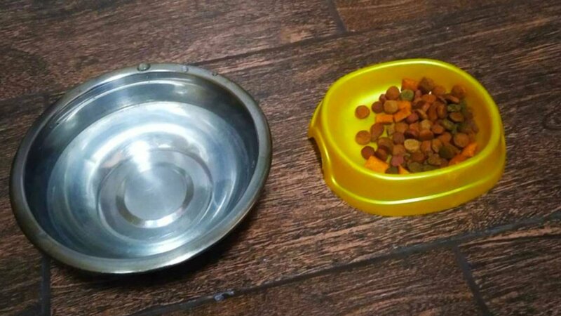 Сколько кошке воды давать в день ? - Смотреть онлайн в поиске Яндекса ...