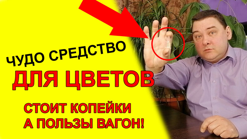 Циркон. Мощное средство для растений. Стоит копейки, а пользы вагон ...