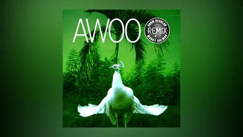 Wselenaia Sofi Tukker - Awoo feat. Betta Lemme (Adam Aelson & Murat Salman Remix) - Смотреть ...
