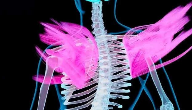 Единственная Матрица Гаряева от Боли под Лопаткой Квантовое Исцеление Звуком Смотреть онлайн в