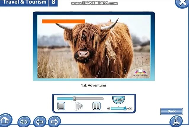 Excel 9th grade. Module 8. Travel and Tourism. Ethical animal tourism ...