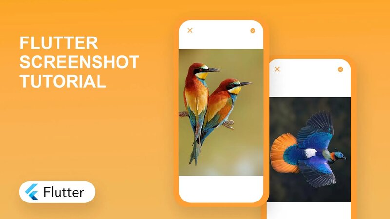 Flutter Screenshot Tutorial | Capture and Save Screens in Flutter - Смотреть онлайн в поиске ...