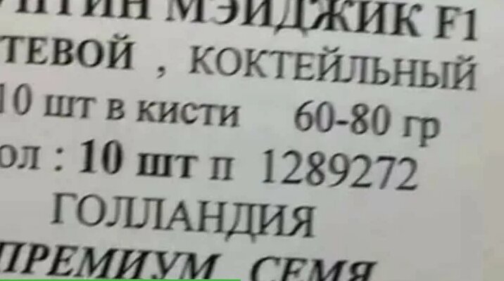 Томат Маунтин Мэджик - Смотреть онлайн в поиске Яндекса по Видео