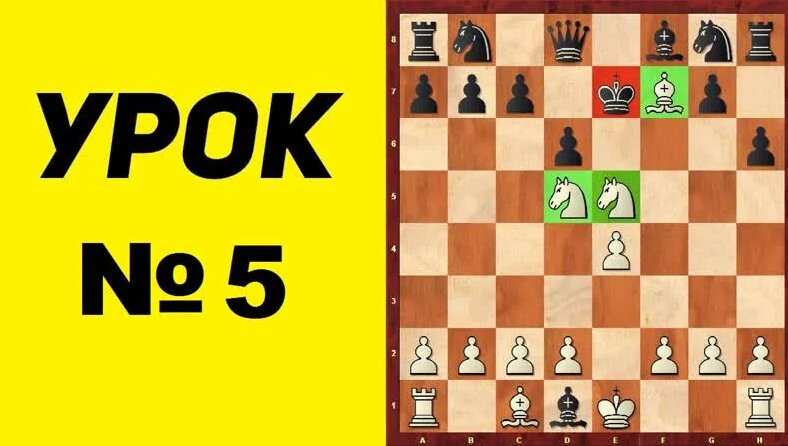 Шахматы для начинающих. Урок 5. Школа шахмат d4-d5. — Видео от Шахматы| Школа шахмат d4-d5 ...