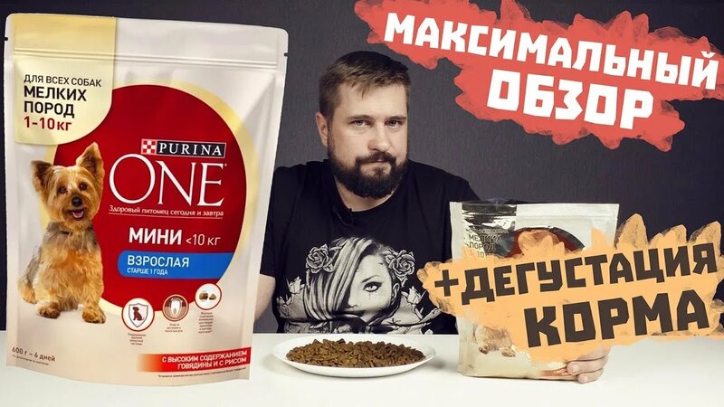 (12) Сухой корм Purina ONE для собак с ягненком | Обзор корма | Корм ...