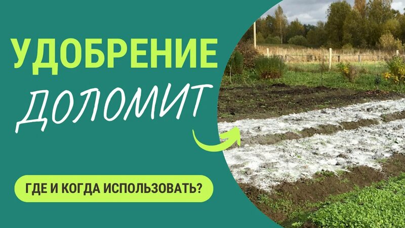 Супер удобрение - доломит Когда и как его лучше использовать ...