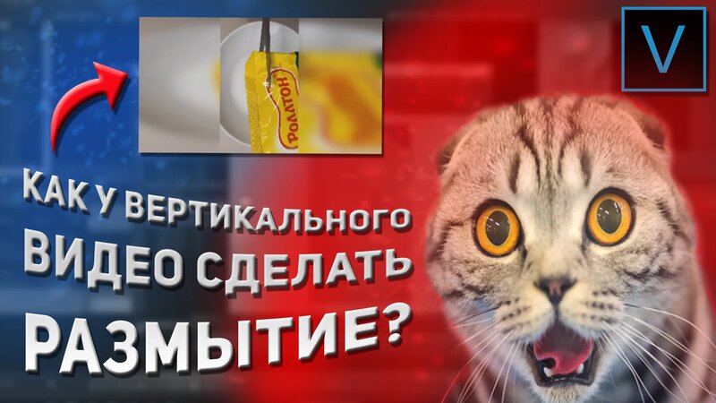 Как сделать размытие у вертикального видео по краям в Sony Vegas