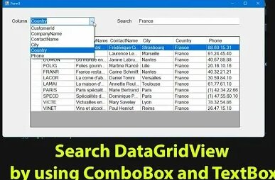 How to Search/Filter DataGridView by using ComboBox and TextBox in C# - Yandex Video aramada ...