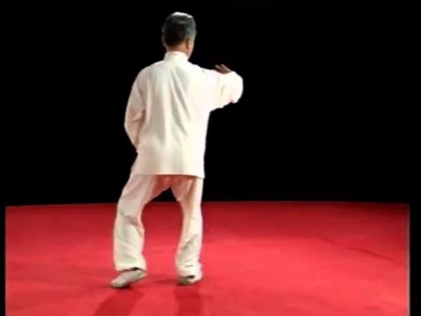 Ма Хун тайцзи-цуань Чэнь, первая форма / Ma Hong Chen Style Taijiquan first frame (Yi Lu ...