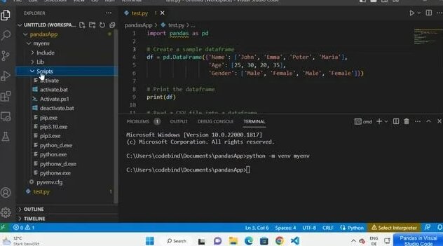 Solved : Import pandas could not be resolved from source Pylance(reportMissingModuleSource ...