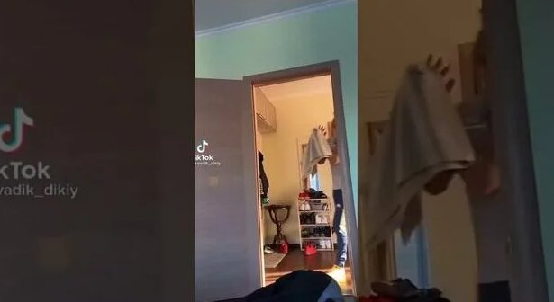 Подборка лучших видио vadik_dikiy (много мата) - Смотреть онлайн в поиске Яндекса по Видео