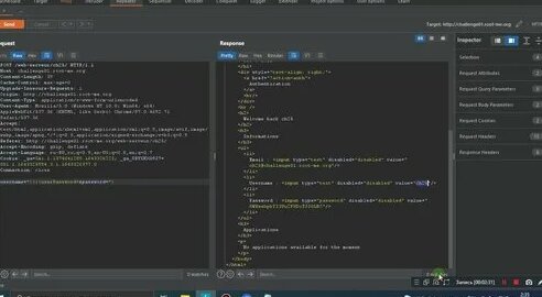 LDAP injection - Authentication Rootme CTF | Arslan[SP13] & Iris | Дзен - Смотреть онлайн в ...