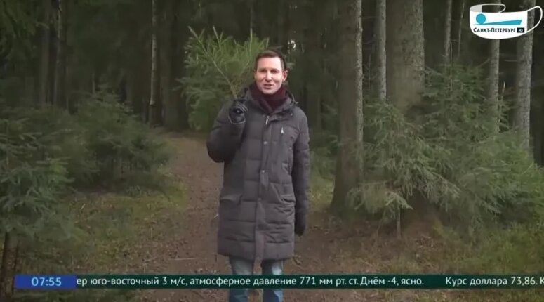 Как законно срубить елку в лесу Смотреть онлайн в поиске Яндекса по Видео