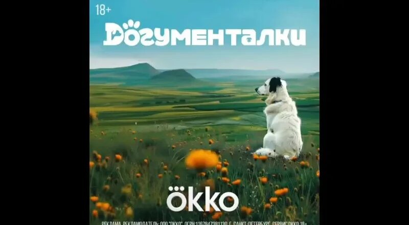 Догументалки в Okko! — Видео от No name - Смотреть онлайн в поиске Яндекса по Видео