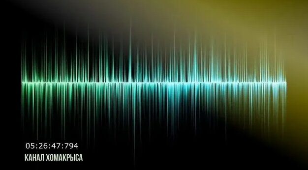 Ультразвук для соседей 10 часов Звуки для соседей Ультразвук 10 часов ...