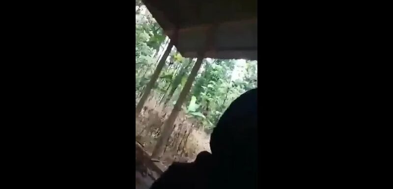 Bokep Indo Abg Hijab Mesum Dihutan - TemanColi.mp4 — Видео от Ink Sure - Yandex Video aramada ...