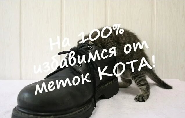 На 100% Избавимся от меток КОТА!