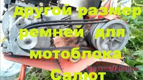 Ремни для мотоблока Салют-5БС-5.5, размер. - Смотреть онлайн в поиске ...
