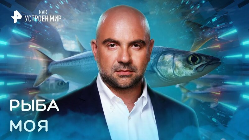 Язь Как устроен мир с Тимофеем Баженовым 08 02 2022 Смотреть онлайн в поиске Яндекса по