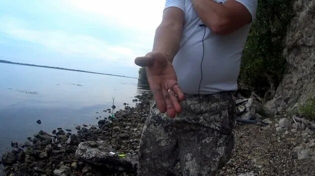 Ловля судака с берега на живца. Оснастка донки на судака на живца ...