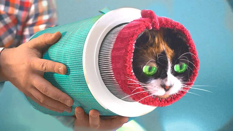 5 Лайфхаков ОТ Slivkishow — Видео от Slivki Show [Сливки ШОУ] - Смотреть онлайн в поиске Яндекса ...