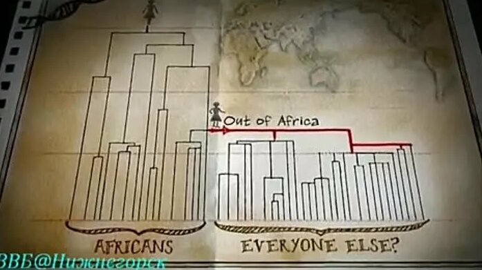 Видео BBC «Путешествие человека (2) - Австралия» (Документальный, 2009) | OK.RU - Смотреть ...