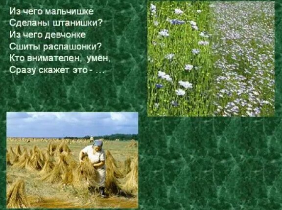 Культурные растения. - Смотреть онлайн в поиске Яндекса по Видео