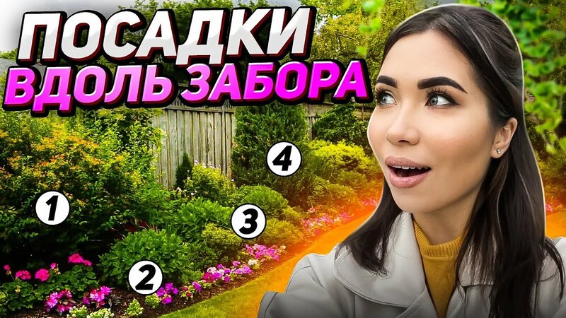 Что посадить Вдоль Забора: ТОП-30 самых Неприхотливых растений