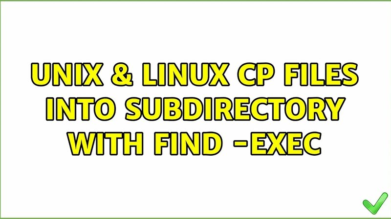Unix & Linux: Cp files into subdirectory with find -exec - Смотреть онлайн в поиске Яндекса по Видео