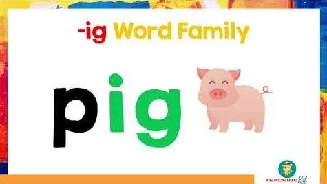 Short Vowel i CVC Reading | CVC Word Families | Phonics Short i | Learn ...