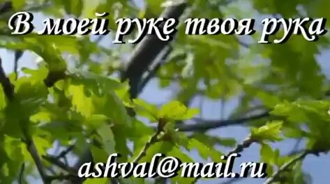 МГК - "В моей руке твоя рука..." ( Песни о любви ) - Смотреть онлайн в ...