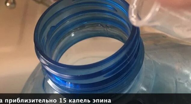 Применение Эпина-экстра для комнатных растений весной. - Смотреть ...