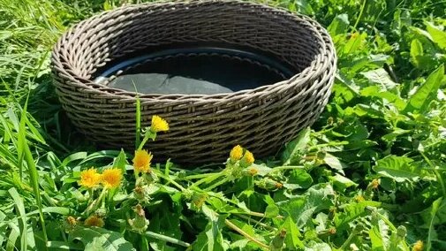 Лежанка для животных из ротанга своими руками, легко и просто ...