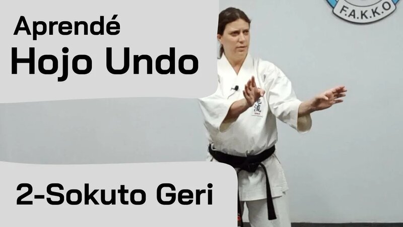 Uechi Ryu Hojo Undo - Sokuto Geri - Смотреть онлайн в поиске Яндекса по Видео