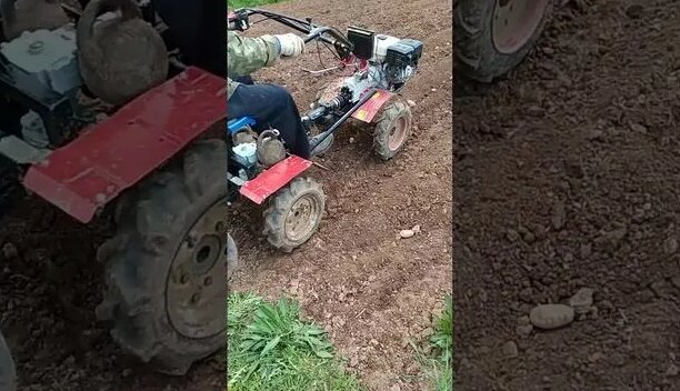 Мотоблок Угра 4X4 с приводным адаптером. Сажаем картошку. Первый опыт ...