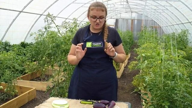 Этот перец вырастет даже в холодной сибири. Перец Сиреневый Блеск от ...