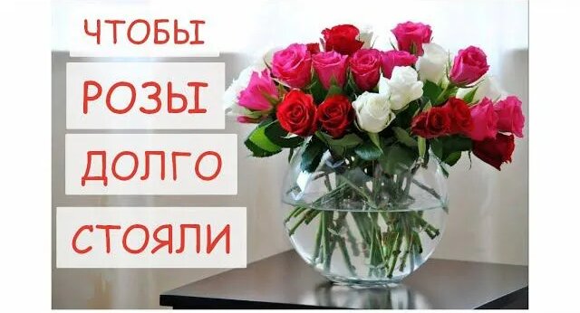 Чтобы РОЗЫ Долго Стояли В ВАЗЕ. Волшебное средство для срезанных цветов ...