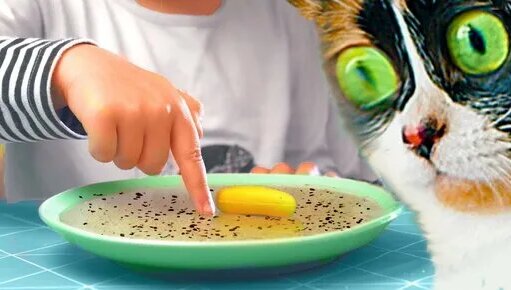 5 lifehacks von slivki show - Смотреть онлайн в поиске Яндекса по Видео