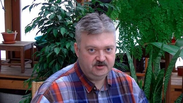 "Хризантелла". Лучшая срезочная сортосерия Астры китайской - Смотреть ...
