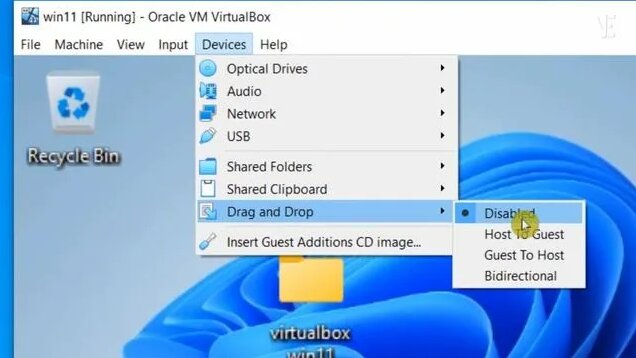 Drag and Drop between Windows 10/11 and VirtualBox /How to Enable Drag Drop - Смотреть онлайн в ...