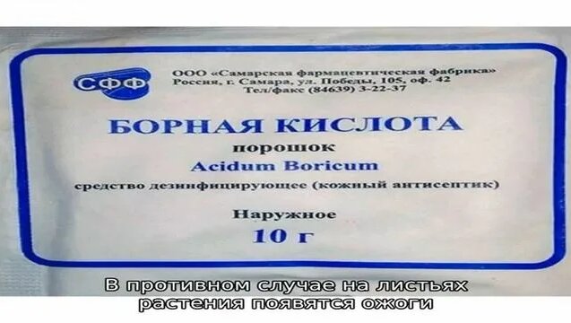 Инструкция по обработке помидоров от фитофторы йодом и борной кислотой ...