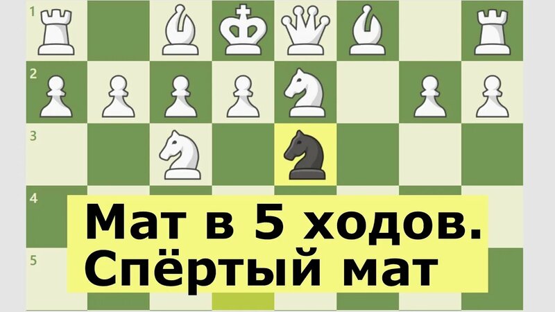 Шахматы для начинающих Мат в 5 ходов Спертый мат в шахматах
