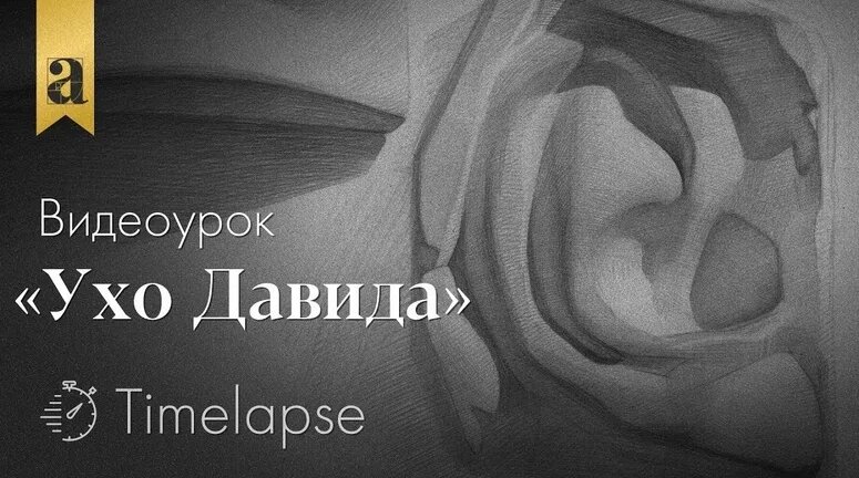 Ухо Давида карандашом - Академический рисунок | Художник Денис Чернов ...