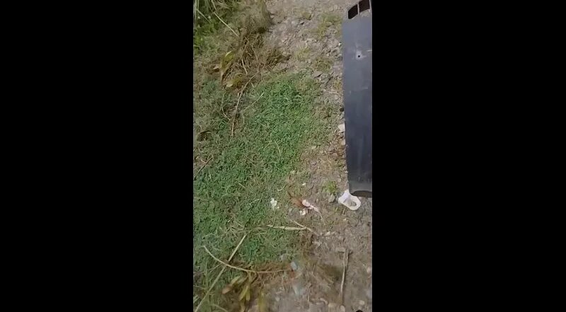 Bokep indo siskaeee ojol prank becak motor mp4