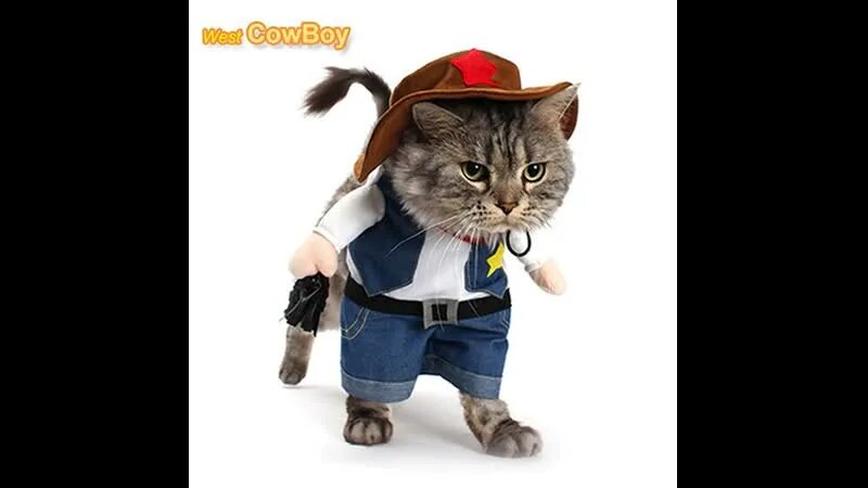 Смешные костюмы для кошек Модный приговор . Лучшие моменты - Смотреть ...