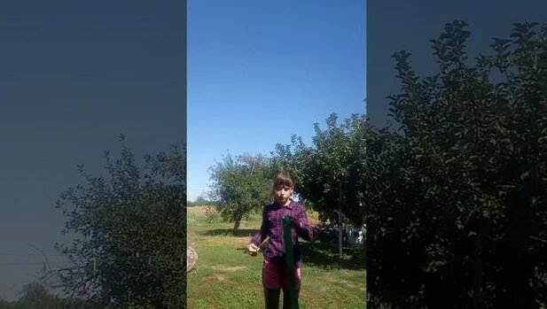 Обзор на мою ленту для художественной гимнастики Смотреть онлайн в поиске Яндекса по Видео