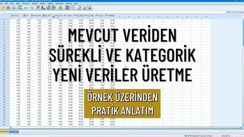 SPSS'te Mevcut Veriden Sürekli ve Kategorik Yeni Veriler Üretme (Compute Variable/Recode ...