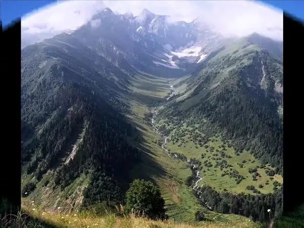 Chemi Simgerebi Xalxuri ჩემი სიმღერები ხალხური Смотреть онлайн в