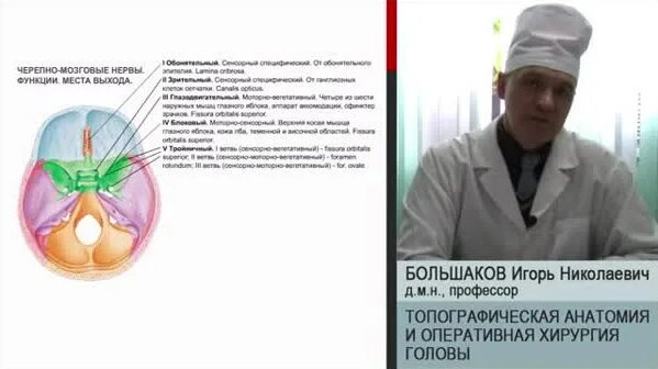 Топографическая анатомия и оперативная хирургия головы — проф ...